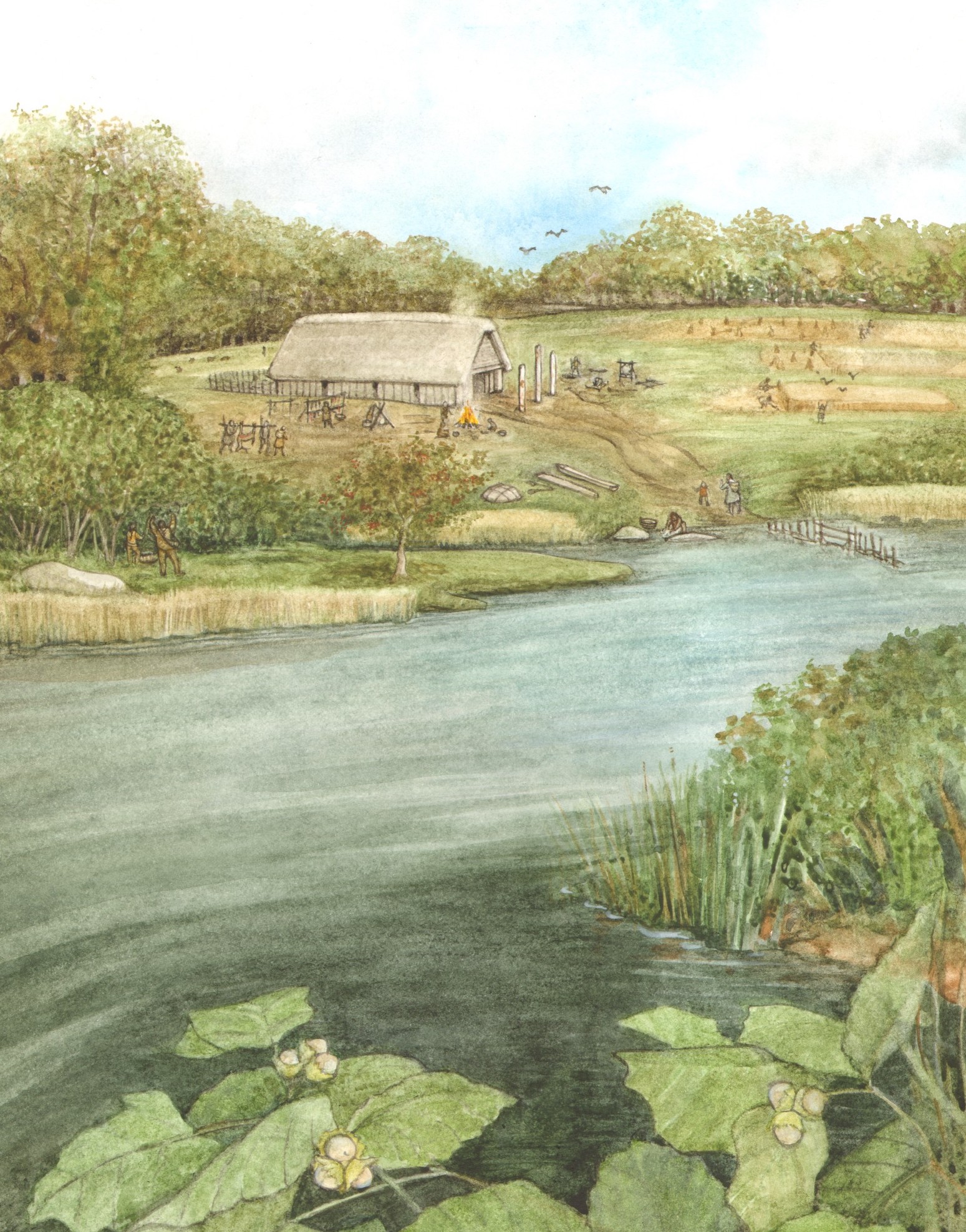 Naming the parts: the basic framework for the past settlement of ...